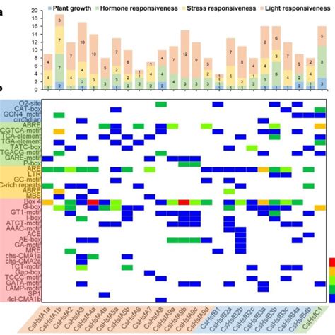 Multiple Sequence Alignment Of Dbd Domains Of Cshsf Proteins Three