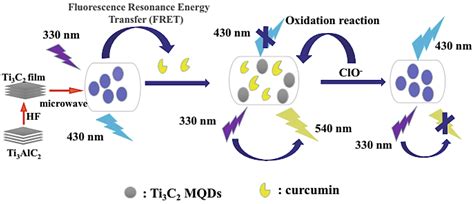 Nanomaterials Free Full Text Smart Mxene Quantum Dot Based