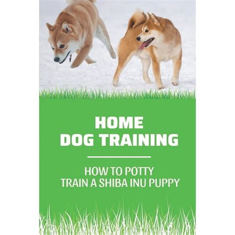 Are Shiba Inus Hard To Train