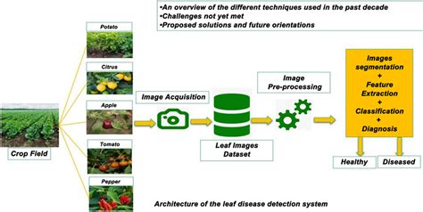 Relevance of Advanced Plant Disease Detection Techniques in Disease and ...