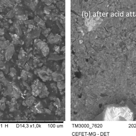 Micrographs Of Sio2 Na2o 0 84 Paste Download Scientific Diagram