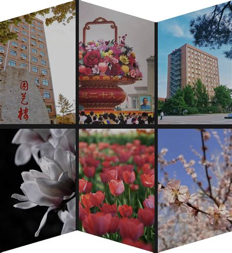 中国农业大学园艺学院 学生活动 百年园艺，向荣而生——百年院庆之摄影作品欣赏及景观球diy活动