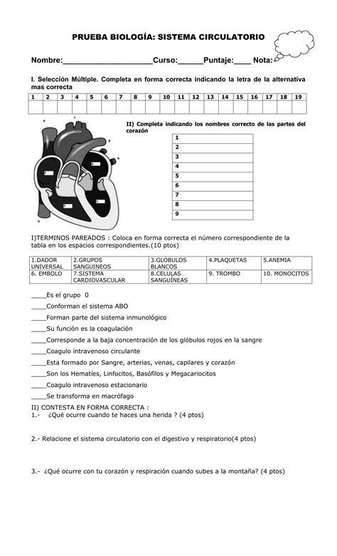 Sistema Circulatório Mind Map Aparato Circulatorio Wikipedia La