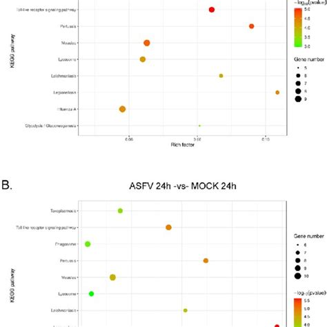 Kegg Analysis Of The Differentially Expressed Proteins Deps A Kegg Download Scientific