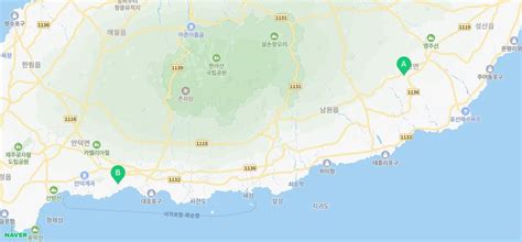 제주도 벚꽃 명소 제주 가시리 녹산로 유채꽃축제 서귀포 예래생태공원 벚꽃 네이버 블로그