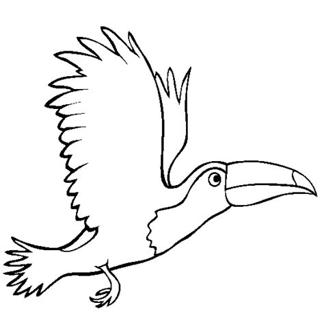 Dibujos Del Tucan Para Colorear Imagui