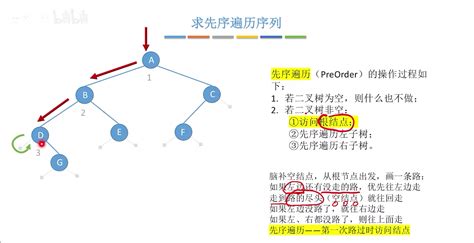 二叉树的遍历和二叉树的代码实现 层序遍历二叉树代码 CSDN博客