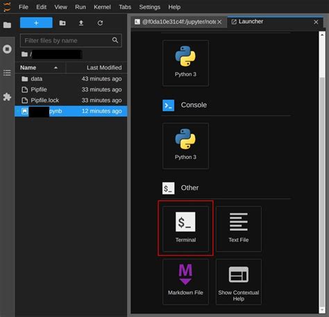 How To Open Notebook In New Tab From A Launcher Terminal Ripython