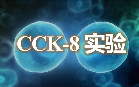 【cck8实验】来学一学cck 8细胞增殖实验吧（我现学现卖的） 哔哩哔哩 Bilibili