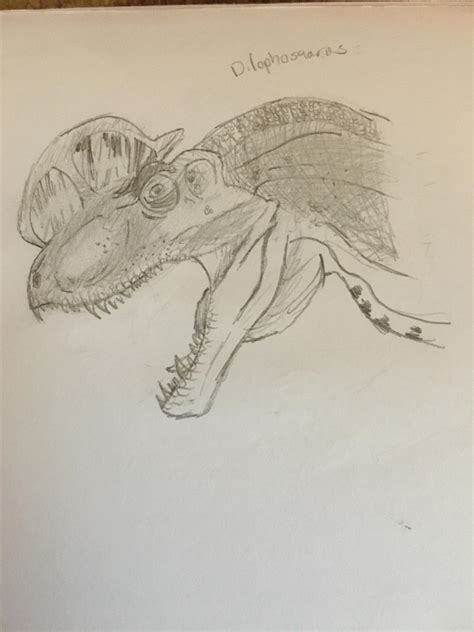 Jurassic Park Drawings Easy