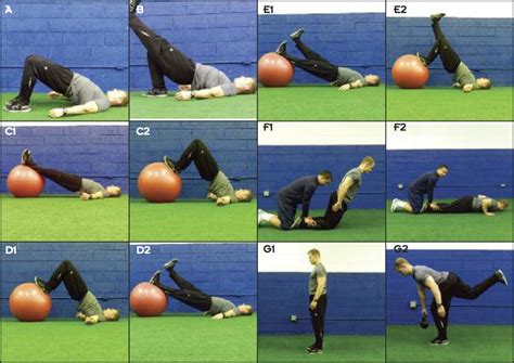 Eccentric Hamstring Exercises Pdf Eoua Blog
