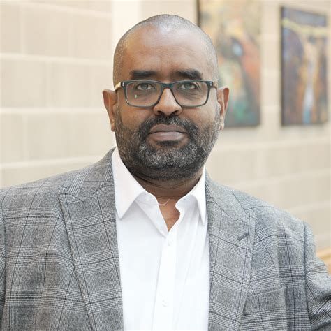 Mohamed Elhassan Elsayed University Of Limerick