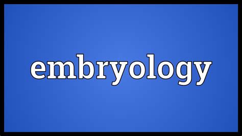 Embryology Meaning Youtube