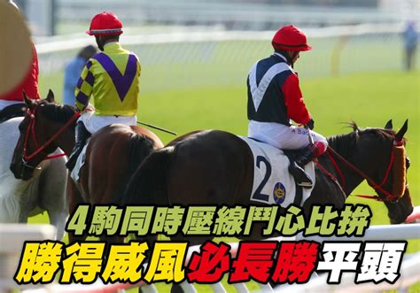 【戰況r6】文家良連贏8日：必長勝係鎮倉寶