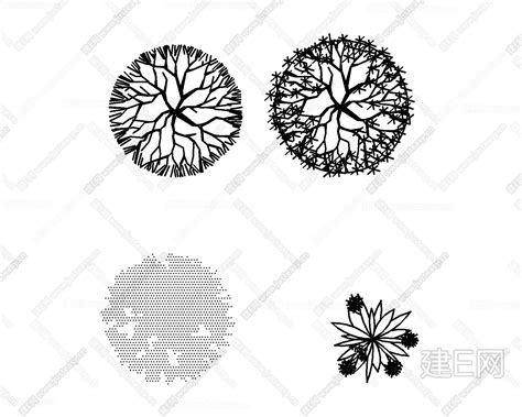 植物施工图下载 施工图植物下载 施工图植物免费下载 建e室内设计网