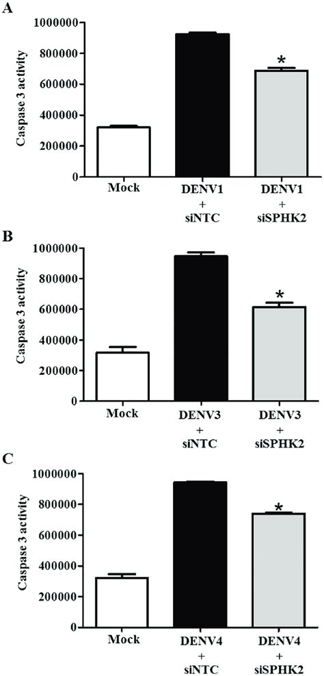 Sphk2 Knockdown Reduces Apoptosis In The Other Three Serotypes Of Denv