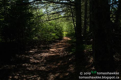 Tomass Hawkke S Naked Nature Pathways Of Temptation
