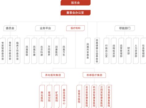 企业架构 关于我们 凤凰医疗集团