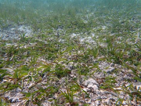 Grantee Update Nupur Kale