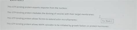 Solved This Gtp Binding Protein Exports Importin From The