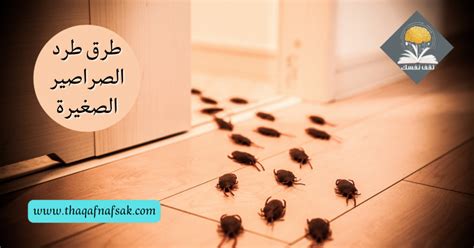 كيف ثقف نفسك