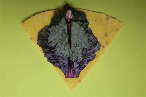 Ravenous Vegans Food Sex Thats It
