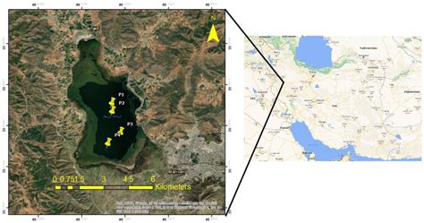 General Architecture Of Anns General Architecture Of Anns Download Scientific Diagram