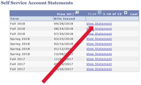 View Account Statements Niu Office Of The Bursar
