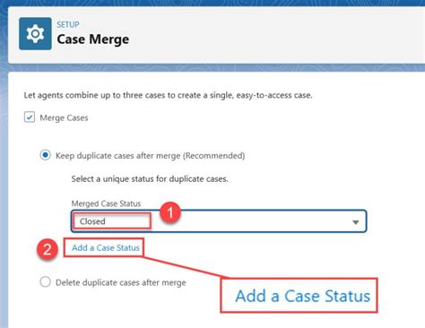 Merge Case Button Not Showing In Salesforce