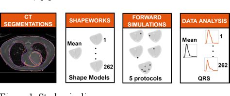 figure 1 from the effect of segmentation variability in forward ecg