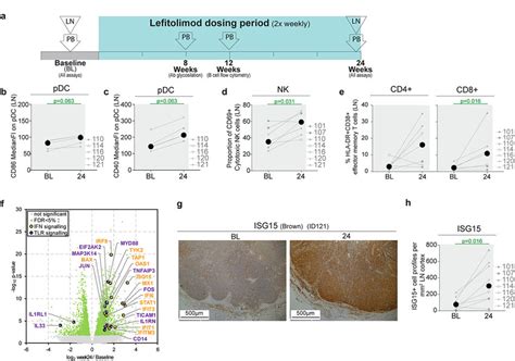 Mgn1703 Treatment Activates Lymph Node Plasmacytoid Dendritic Natural