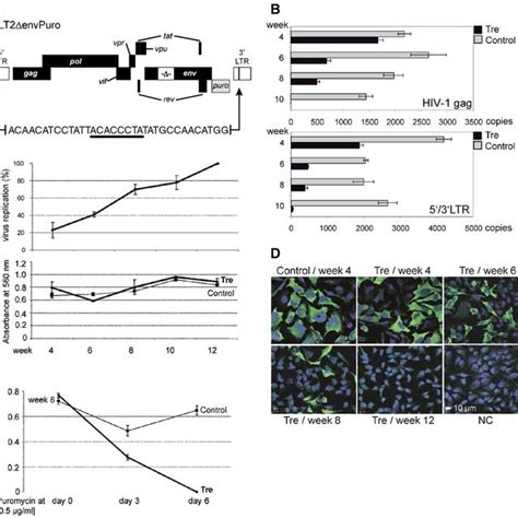 Tre Mediated Recombination Of Hiv 1 Proviral Dna A Schematic Diagram