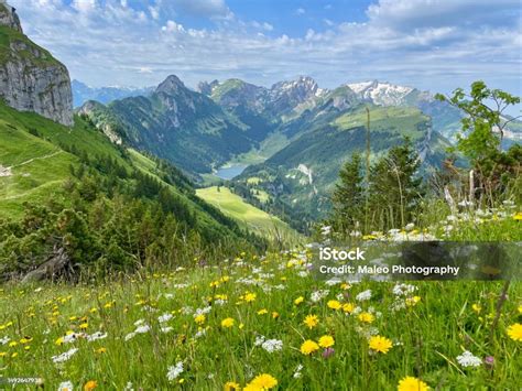 스위스 아펜첼가 배경으로 있습니다 스위스에 대한 스톡 사진 및 기타 이미지 Istock