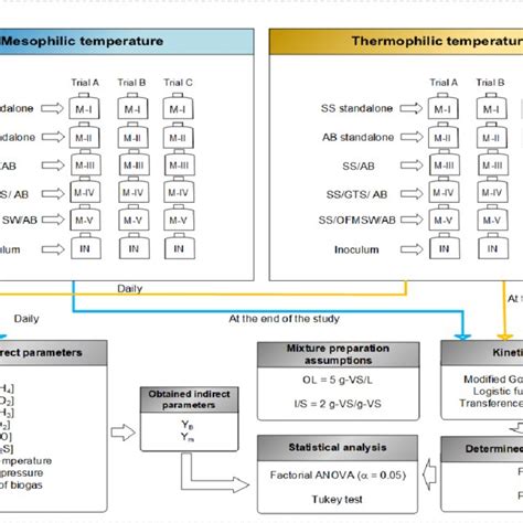 Scheme Of The Experiment Related To The BMP Assay Download Scientific Diagram