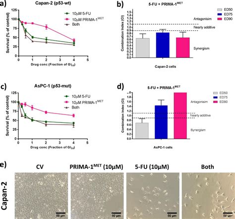 PRIMA MET Synergises With FU And Alters Cellular Morphology A Download Scientific Diagram
