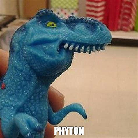 Meme Phyton All Templates Meme