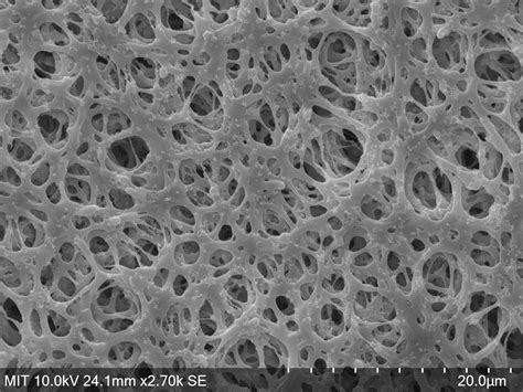 Inlinehepa20nmautop0005raw