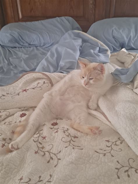 Official Willie Woo Blog On Tumblr