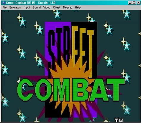 Win Ntsc Filters Break Interlaced Mode E G Street Combat Issue