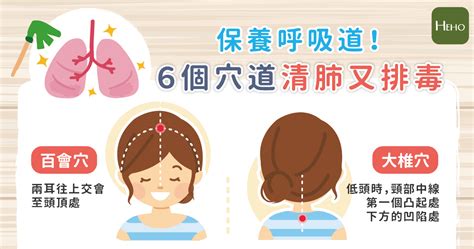 保養呼吸道！6個穴道清肺又排毒 Heho健康