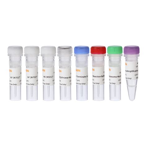 Hieff Ngs®快速标记dna转座酶法建库试剂盒 Fast Tagment Dna Library Prep Kit
