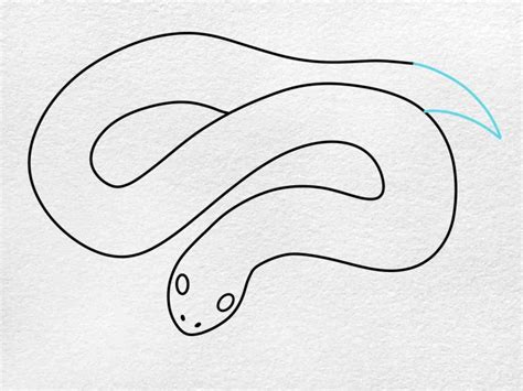 Ball Python Drawing Helloartsy