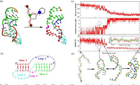 Figure From Predicting D Structure And Stability Of RNA Pseudoknots In Monovalent And