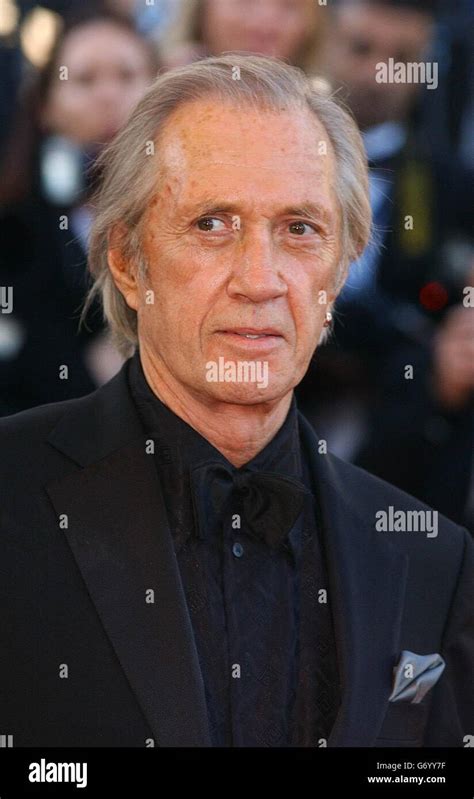 David Carradine Death Photos Graphic
