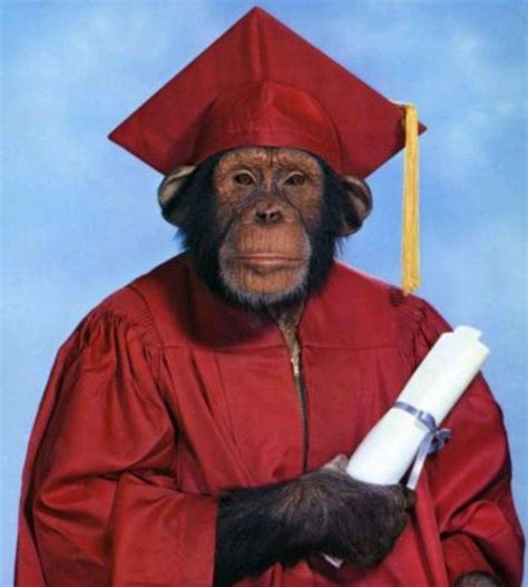 Anurag Sen On Linkedin People Telling Me Age Is Just A Number Me Who Knows Its Actually A