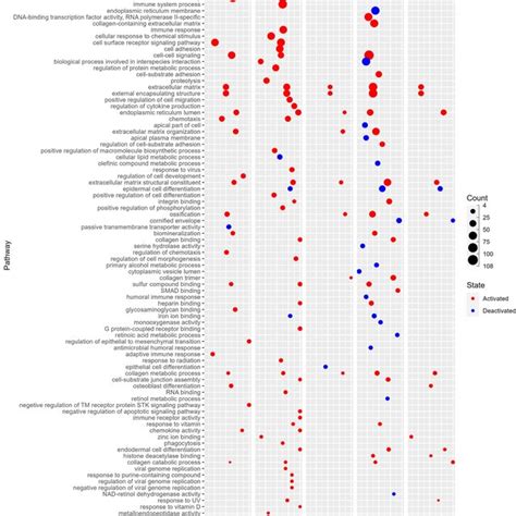 List Of Microbial Infection Terms Seen Activated Across Populations Download Scientific Diagram