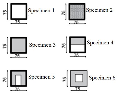 Specimen Cross Sections Download Scientific Diagram