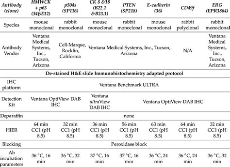 Immunohistochemistry Ihc Antibodies And Adapted Staining Protocols
