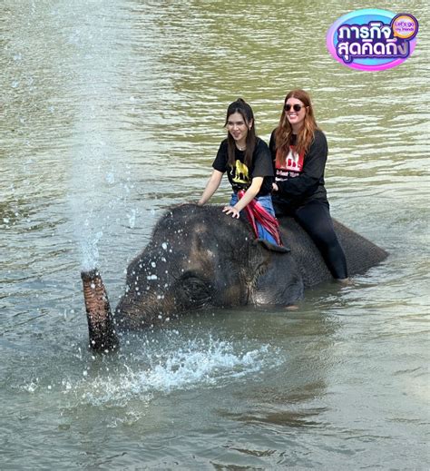 บันเทิง ภารกิจสุดคิดถึงย้อนรอยจิ้นปูเป้ เกศรินทร์ควง ม่อน สุรศักดิ์อาบน้ำช้าง