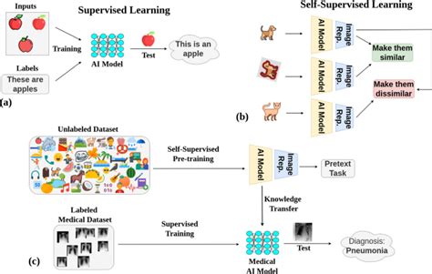 Enhancing Diagnostic Deep Learning Via Self Supervised Pretraining On Large Scale Unlabeled Non